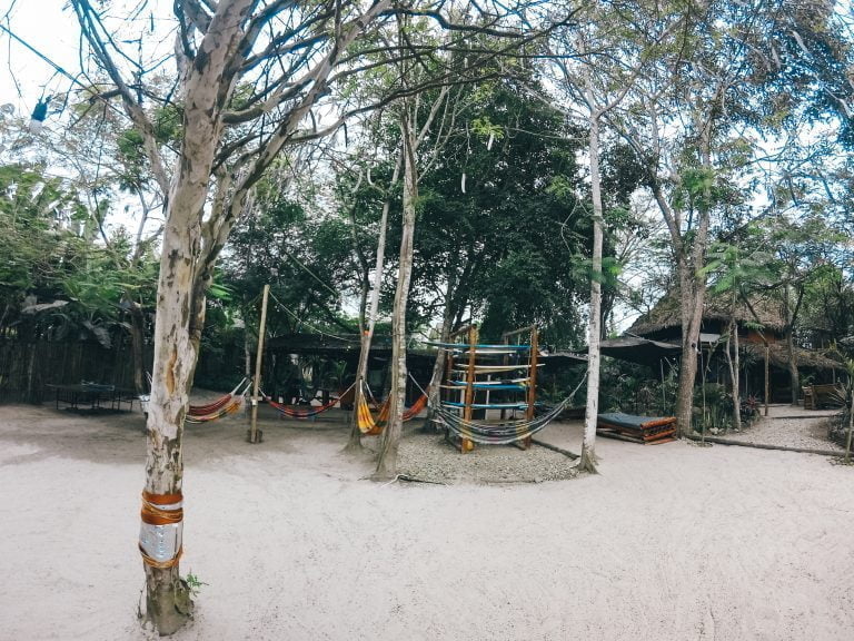 Amboró National Park: Giant Fern Excursion - Compasses & Quests