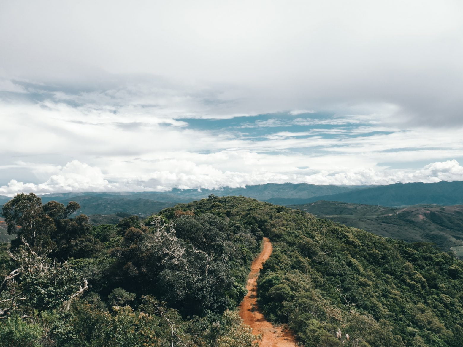 Amboró National Park: Giant Fern Excursion - Compasses & Quests