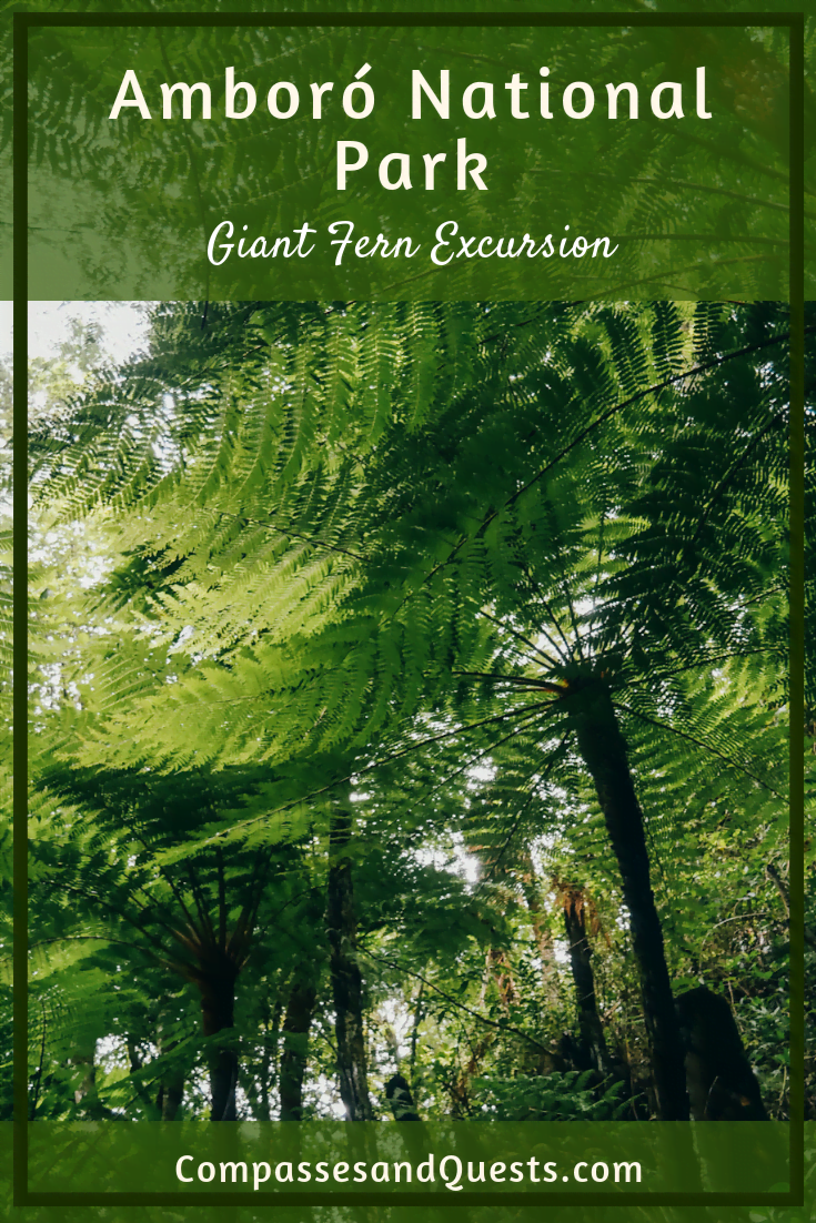 Amboró National Park: Giant Fern Excursion - Compasses & Quests