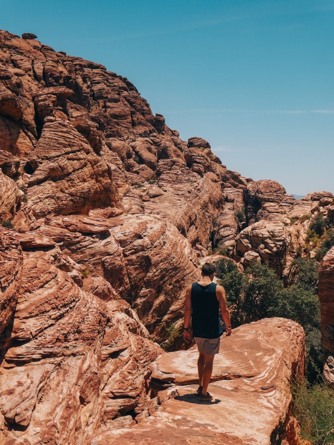 Red Rock Canyon Scenic Drive: A Day Trip from Las Vegas - Compasses ...