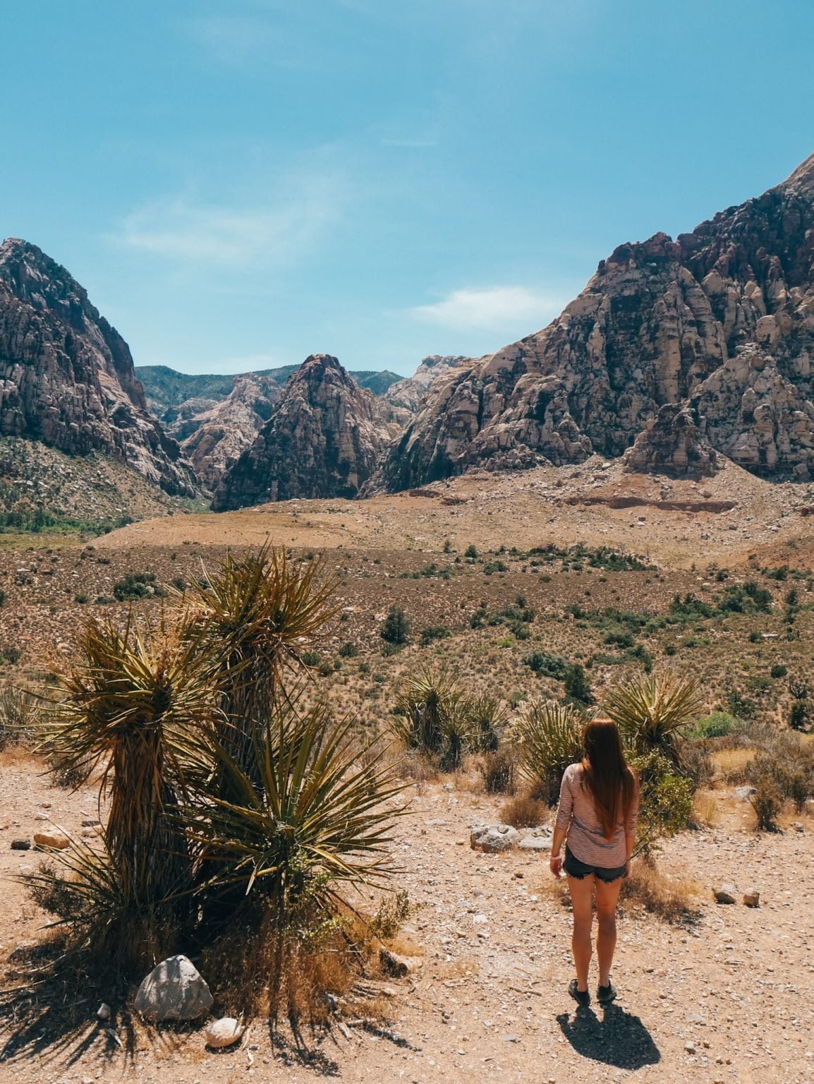 Red Rock Canyon Scenic Drive: A Day Trip from Las Vegas - Compasses ...