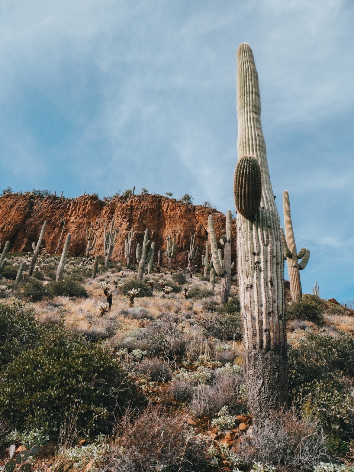 Tonto National Monument: Exploring Cliff Dwellings - Compasses & Quests