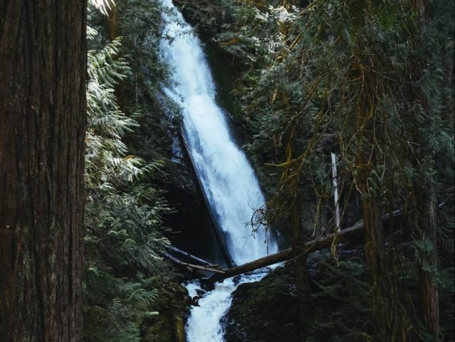 Hiking to Murhut Falls in Olympic National Forest - Compasses & Quests