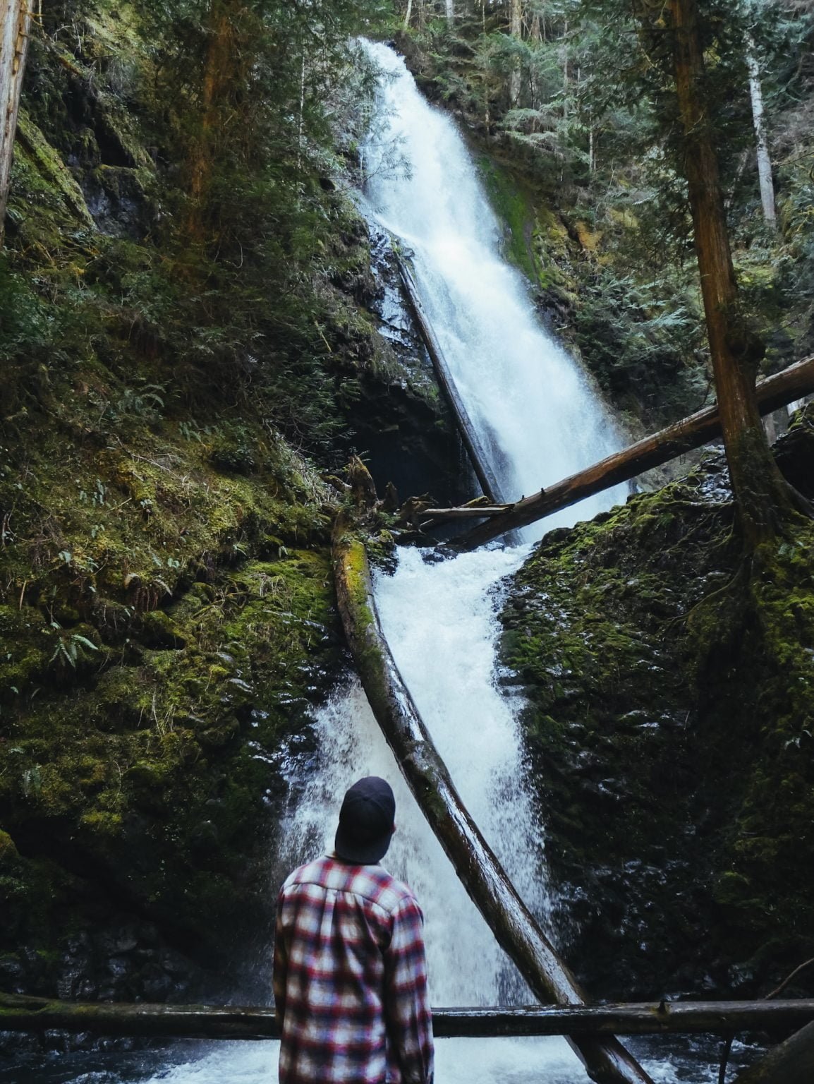 Hiking to Murhut Falls in Olympic National Forest - Compasses & Quests