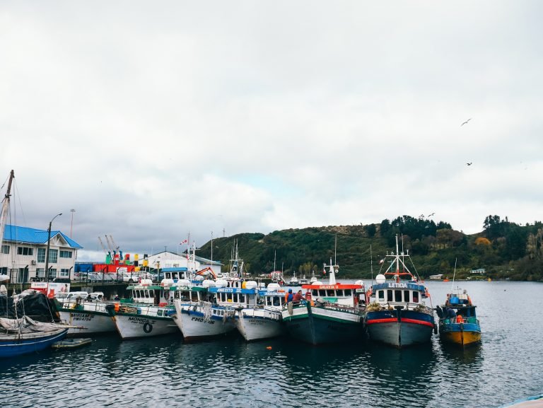 A Visitor’s Guide to Puerto Montt, Chile - Compasses & Quests