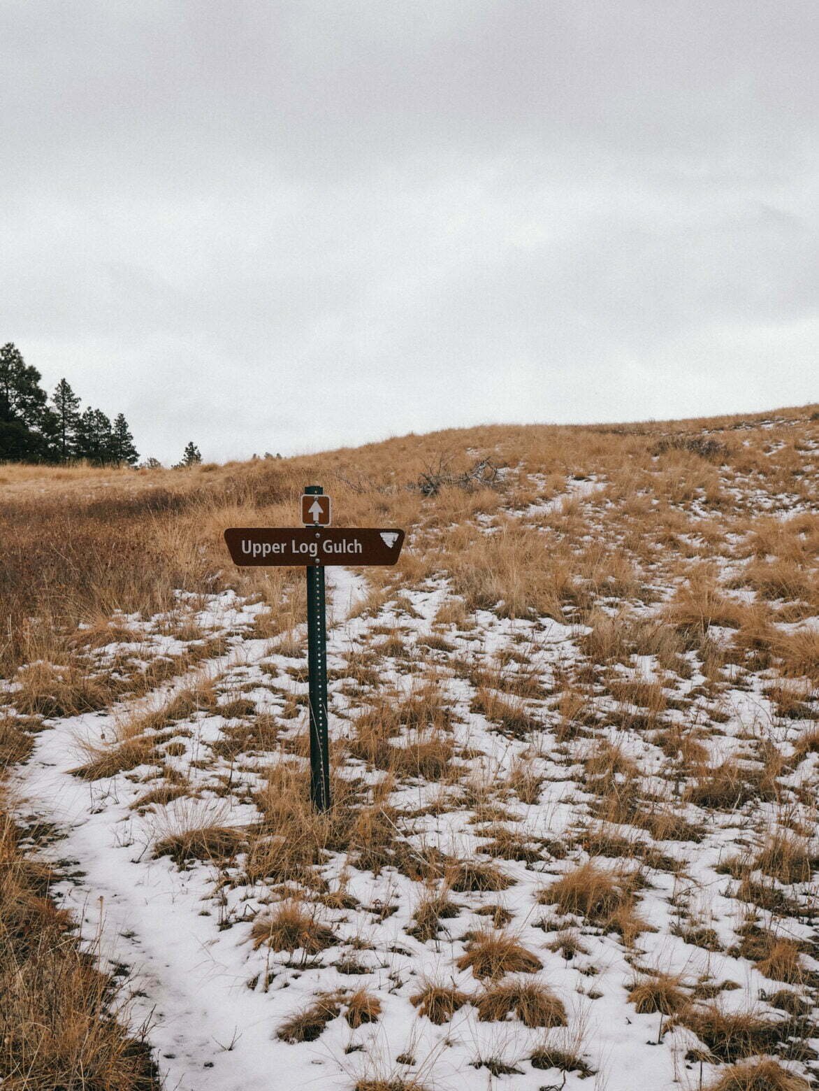 Hiking Juniper Bay to Log Gulch – Montana - Compasses & Quests