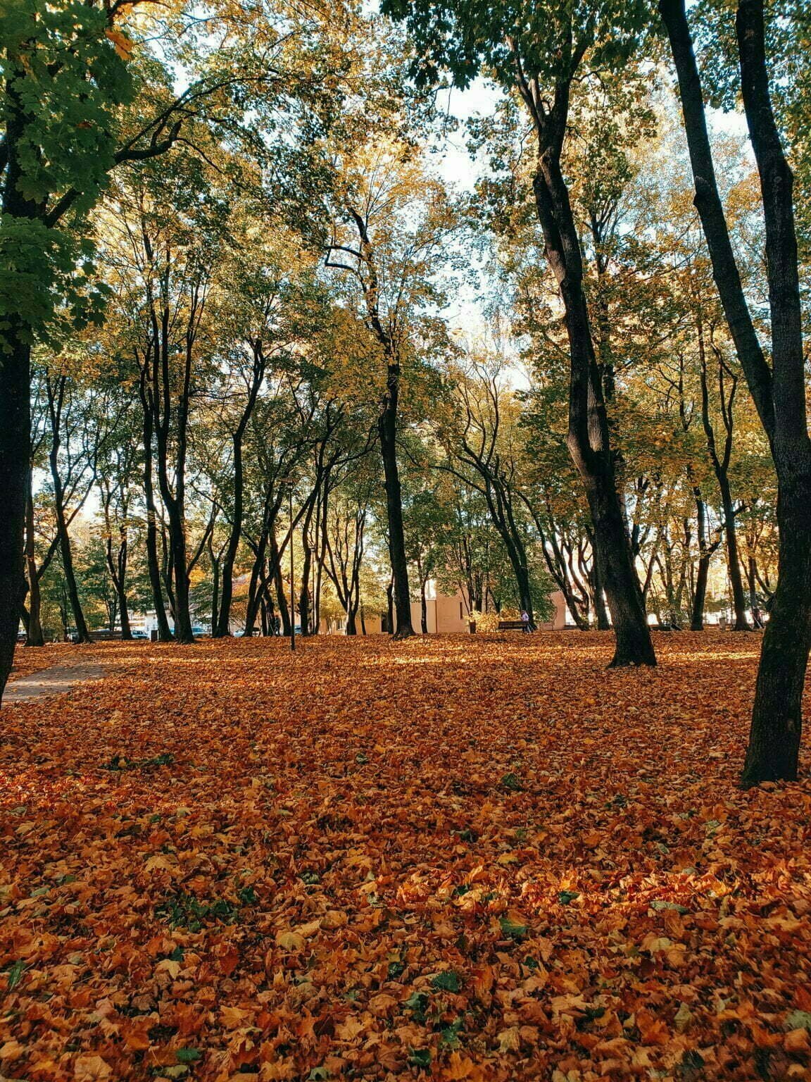 A Visitor’s Guide to Kaunas, Lithuania - Compasses & Quests