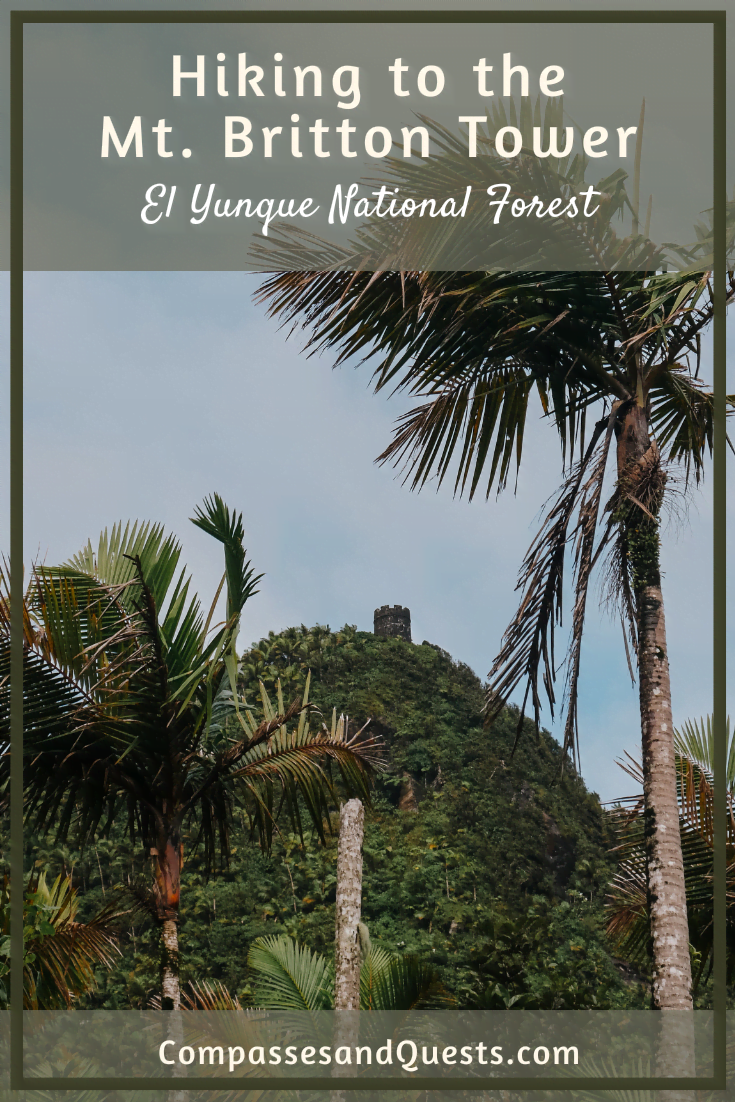 Hiking to the Mt. Britton Tower – El Yunque National Forest - Compasses ...
