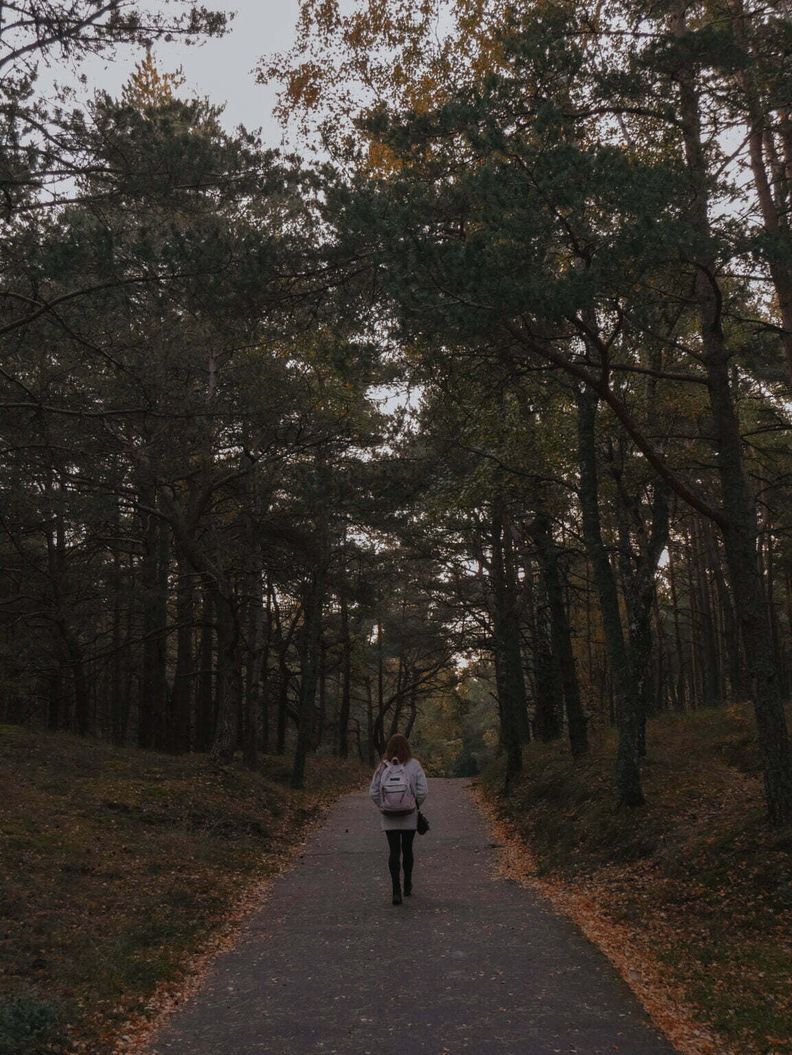 Visiting the Curonian Spit – A Day Trip from Klaipėda - Compasses & Quests