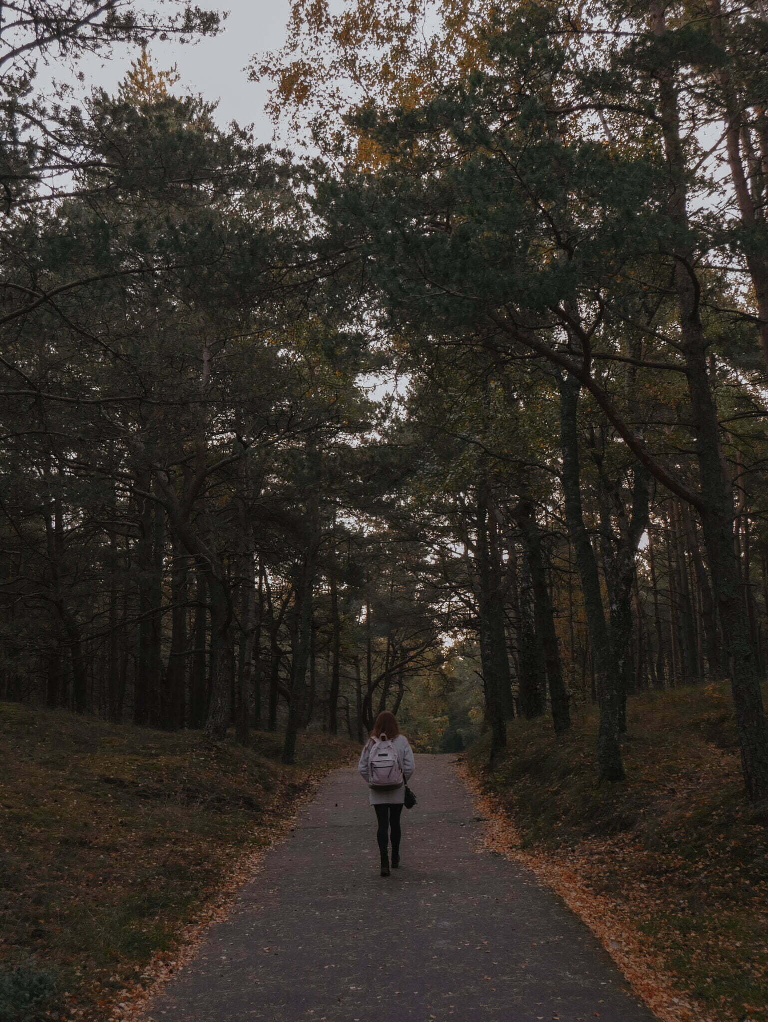 Visiting the Curonian Spit – A Day Trip from Klaipėda - Compasses & Quests