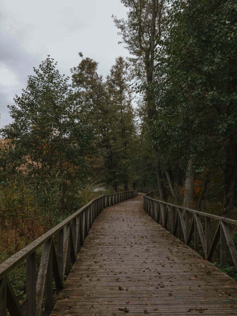 Visiting the Curonian Spit – A Day Trip from Klaipėda - Compasses & Quests