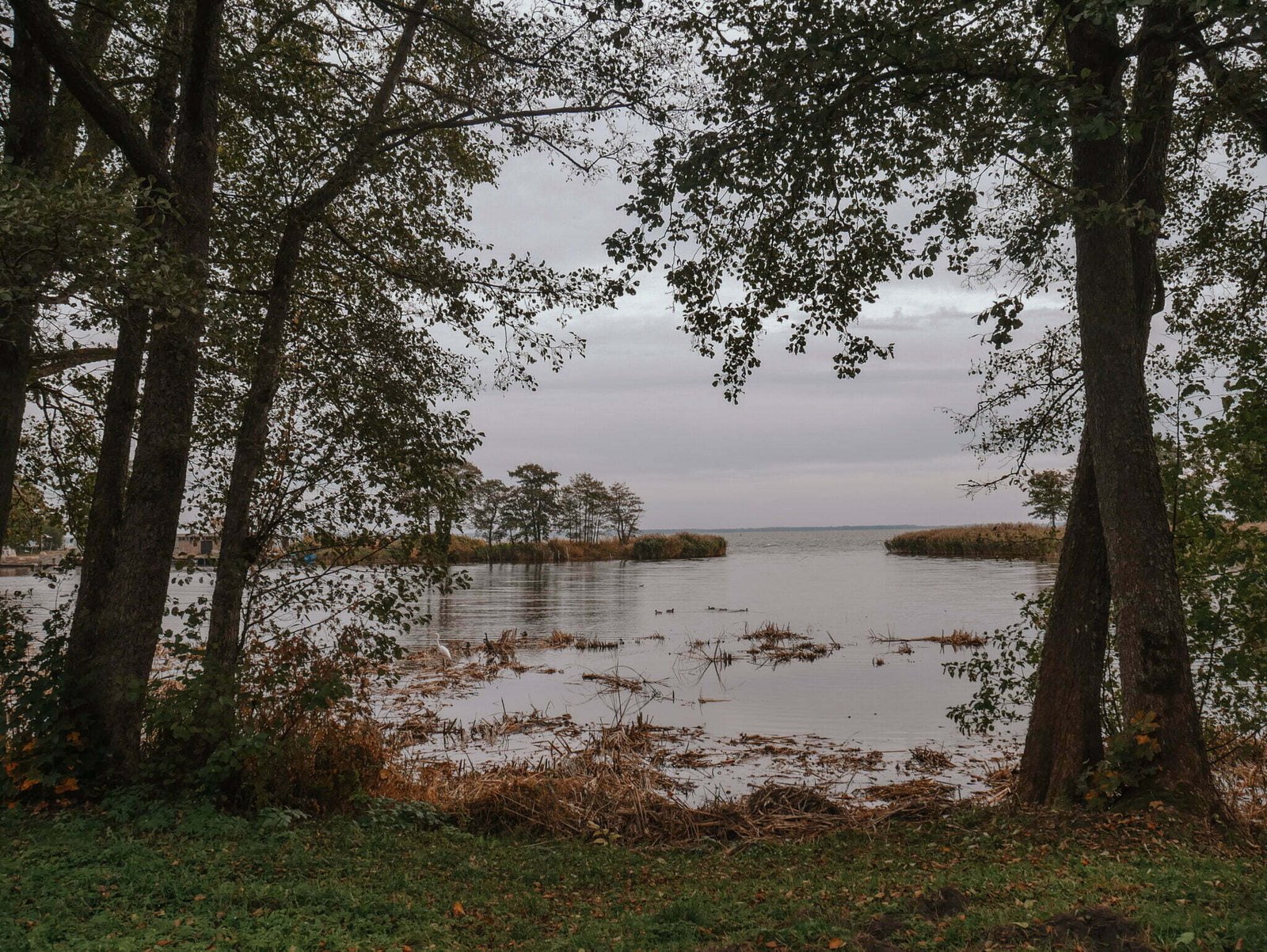 Visiting the Curonian Spit – A Day Trip from Klaipėda - Compasses & Quests