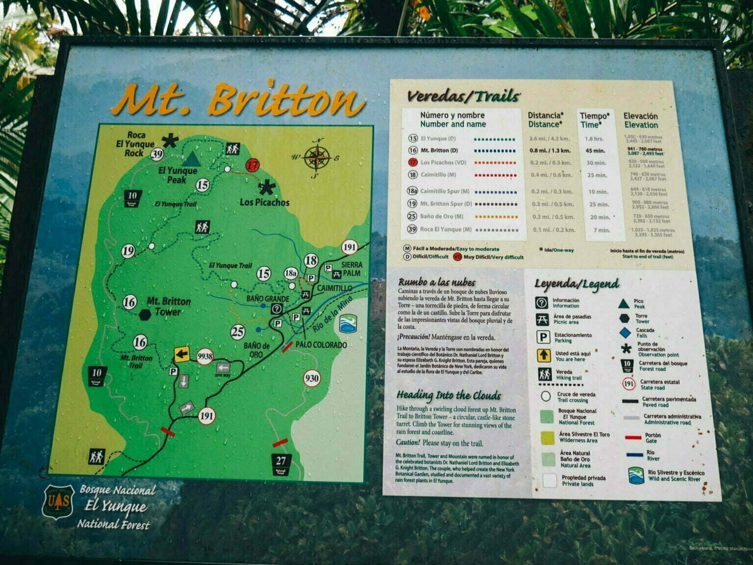 Hiking to the Mt. Britton Tower – El Yunque National Forest - Compasses ...