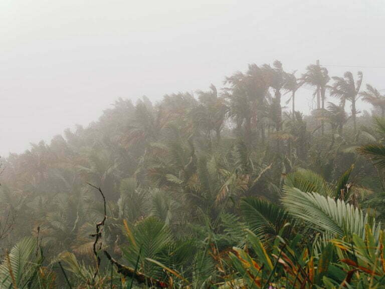Hiking to the Mt. Britton Tower – El Yunque National Forest - Compasses ...
