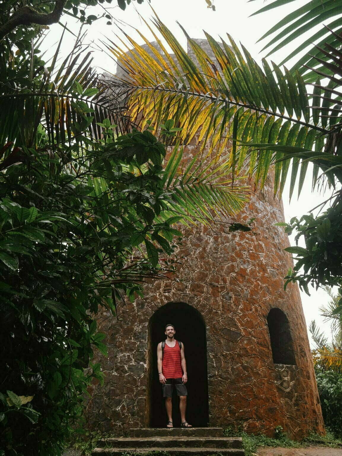 Hiking to the Mt. Britton Tower – El Yunque National Forest - Compasses ...