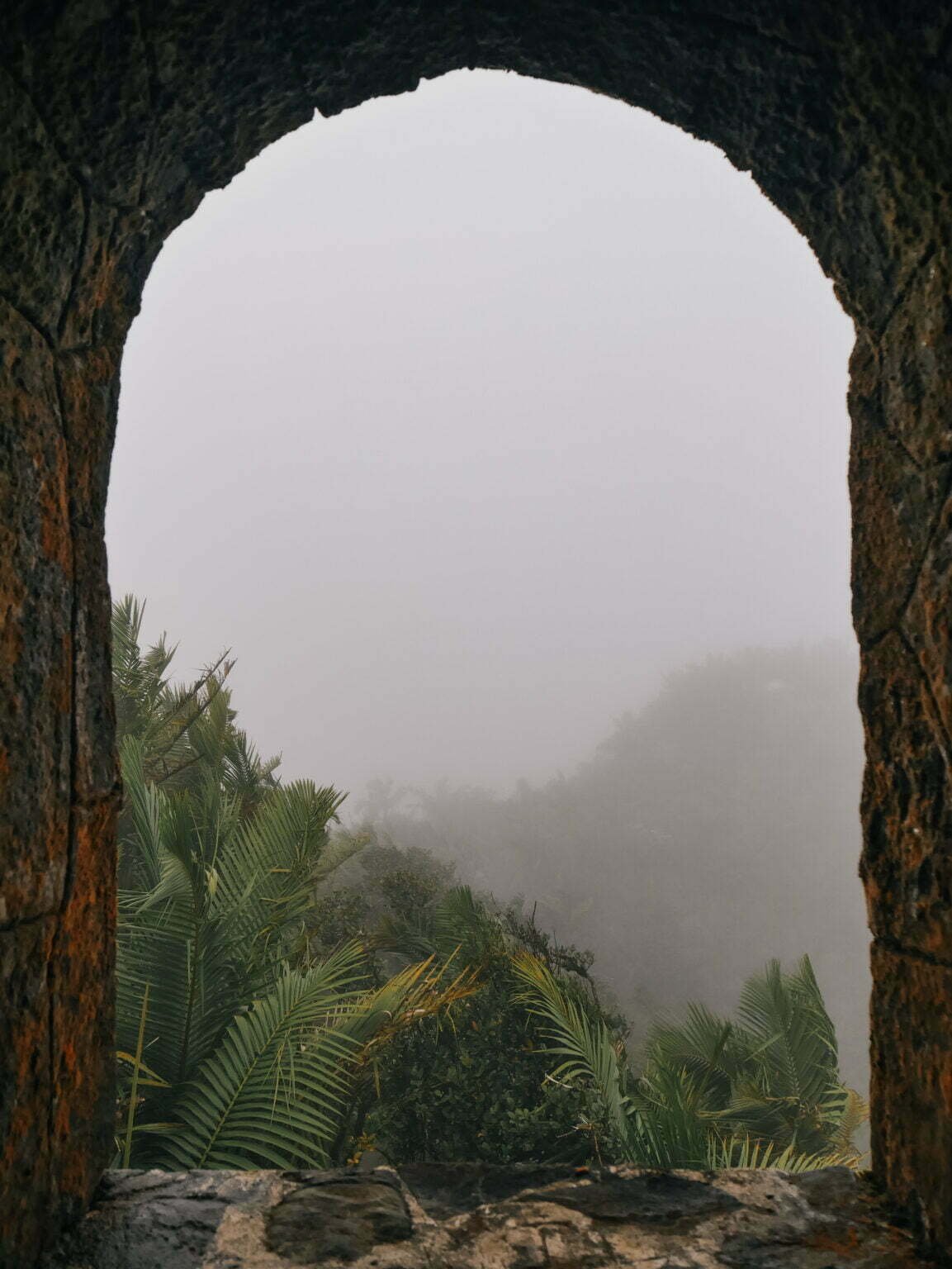 Hiking to the Mt. Britton Tower – El Yunque National Forest - Compasses ...
