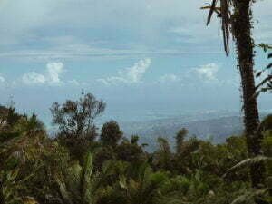 Hiking to the Mt. Britton Tower – El Yunque National Forest - Compasses ...