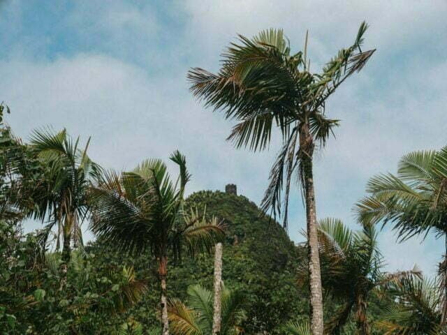 Hiking to the Mt. Britton Tower – El Yunque National Forest - Compasses ...