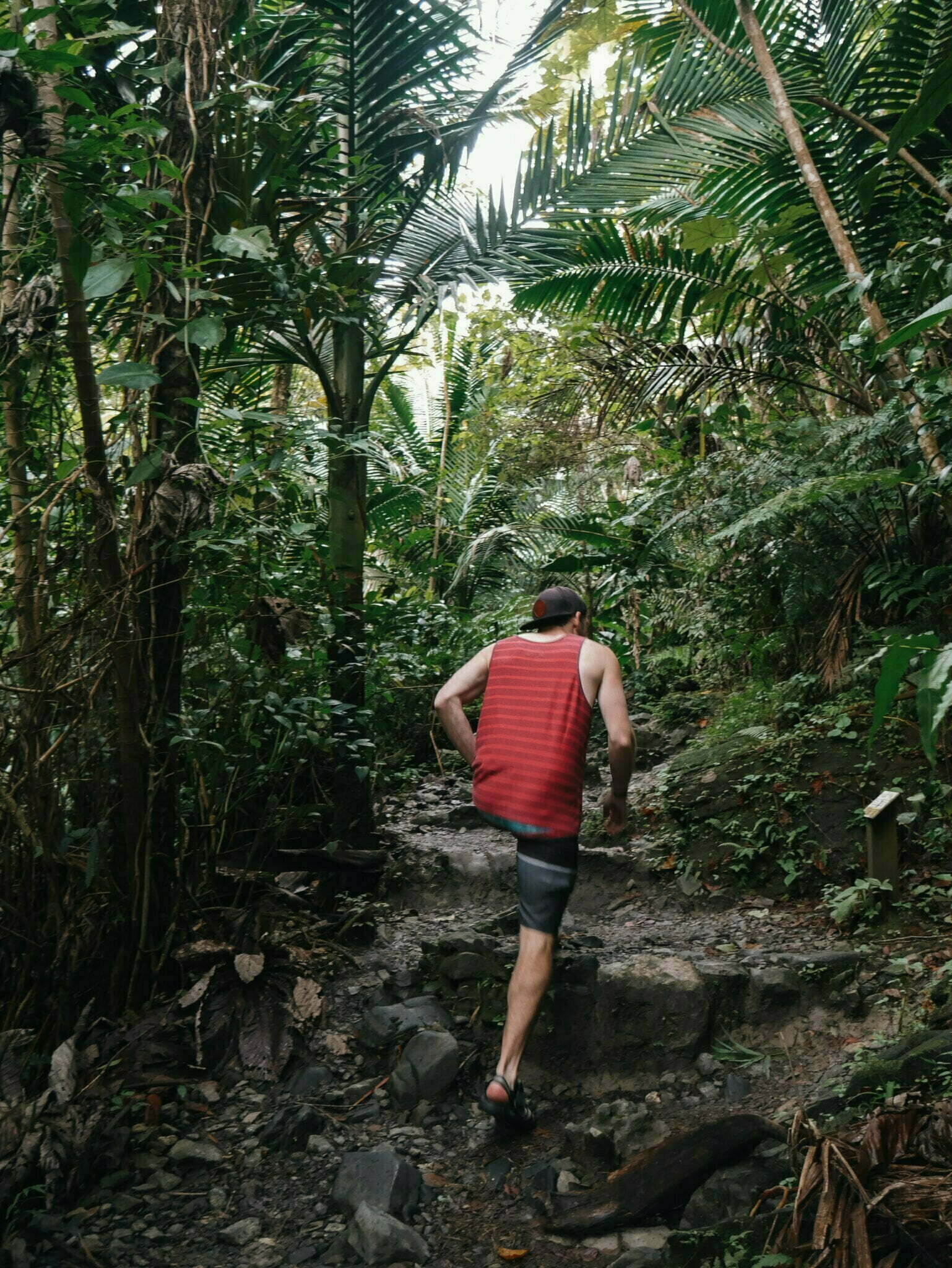 Visiting Juan Diego Falls - El Yunque National Forest - Compasses & Quests
