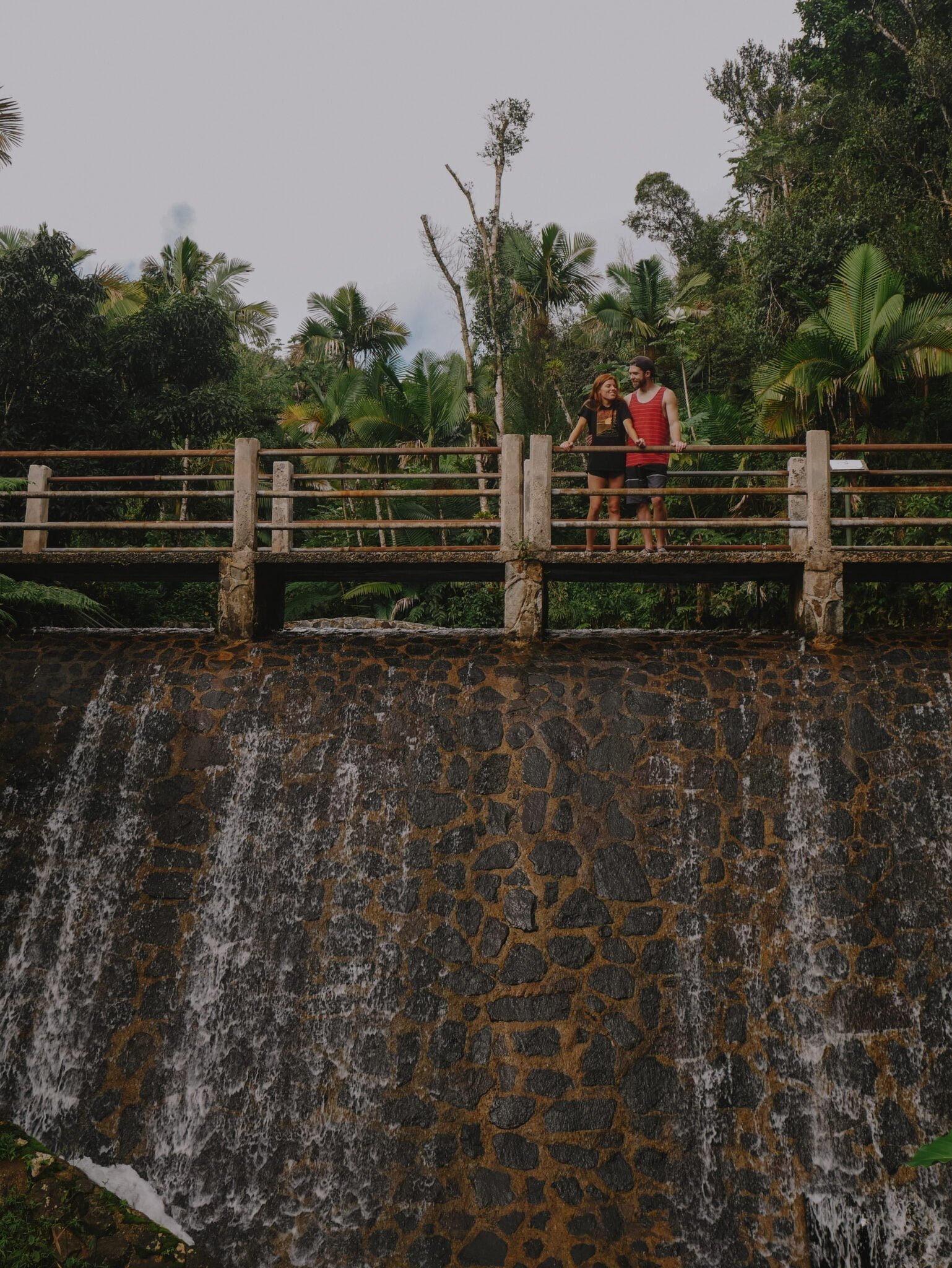 El Yunque Day Trip - Exploring Puerto Rico's Iconic Rainforest ...