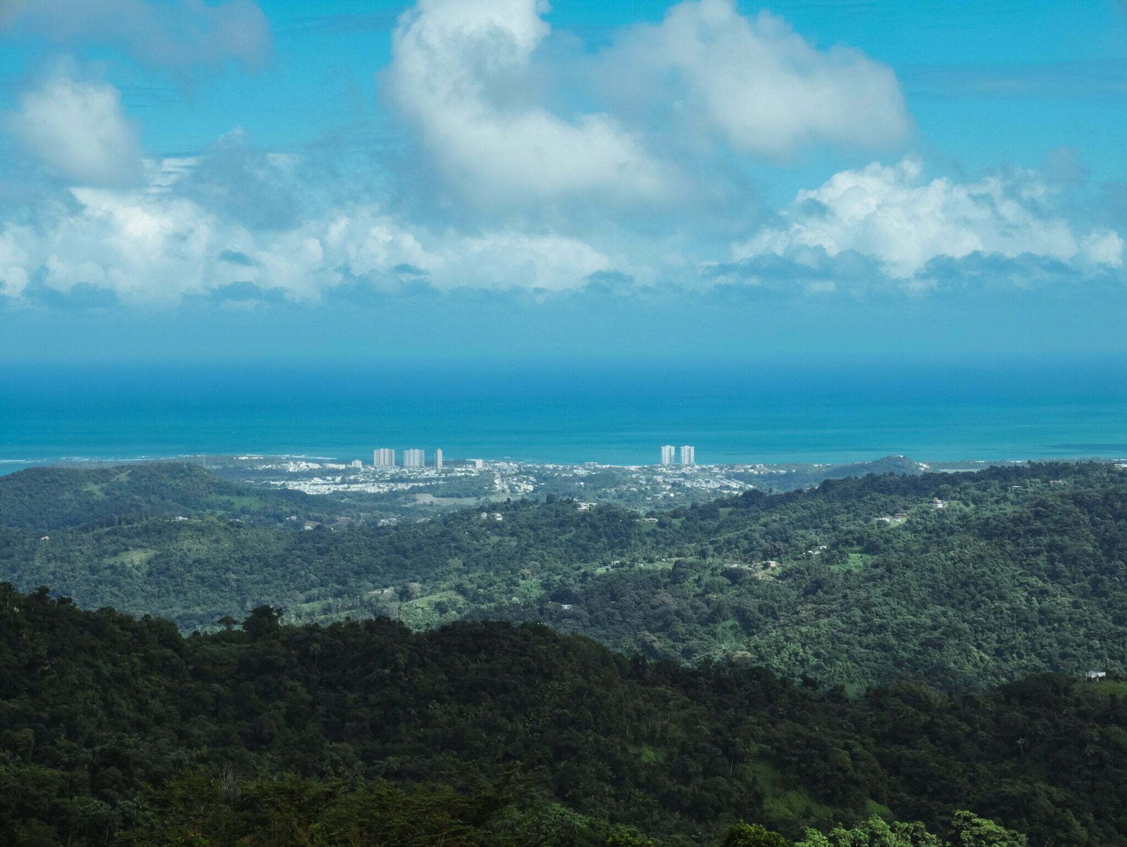 El Yunque Day Trip - Exploring Puerto Rico's Iconic Rainforest ...