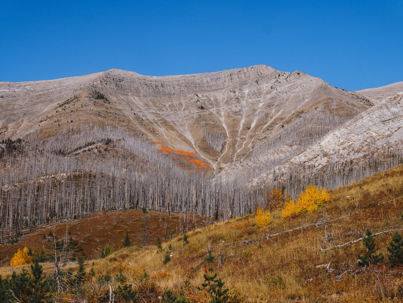 Hiking Mount Wright - Montana - Compasses & Quests