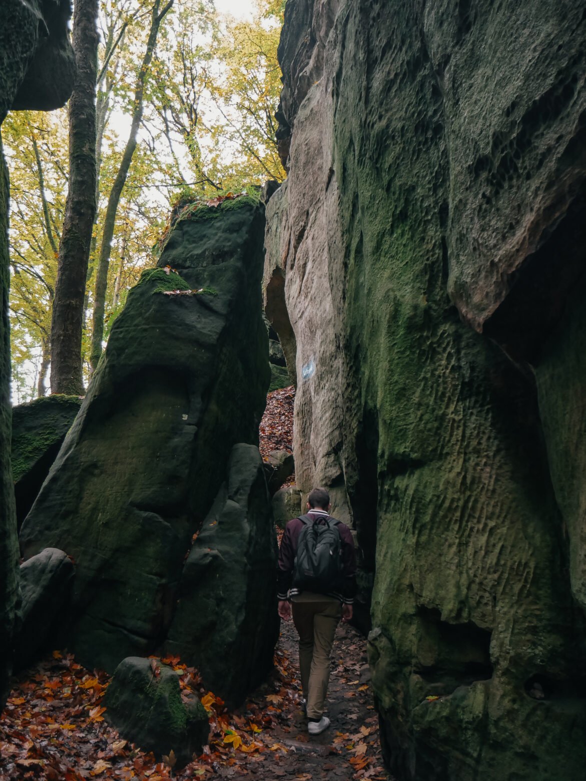 The Mullerthal Trail: Hiking Between Berdorf & Echternach - Compasses ...