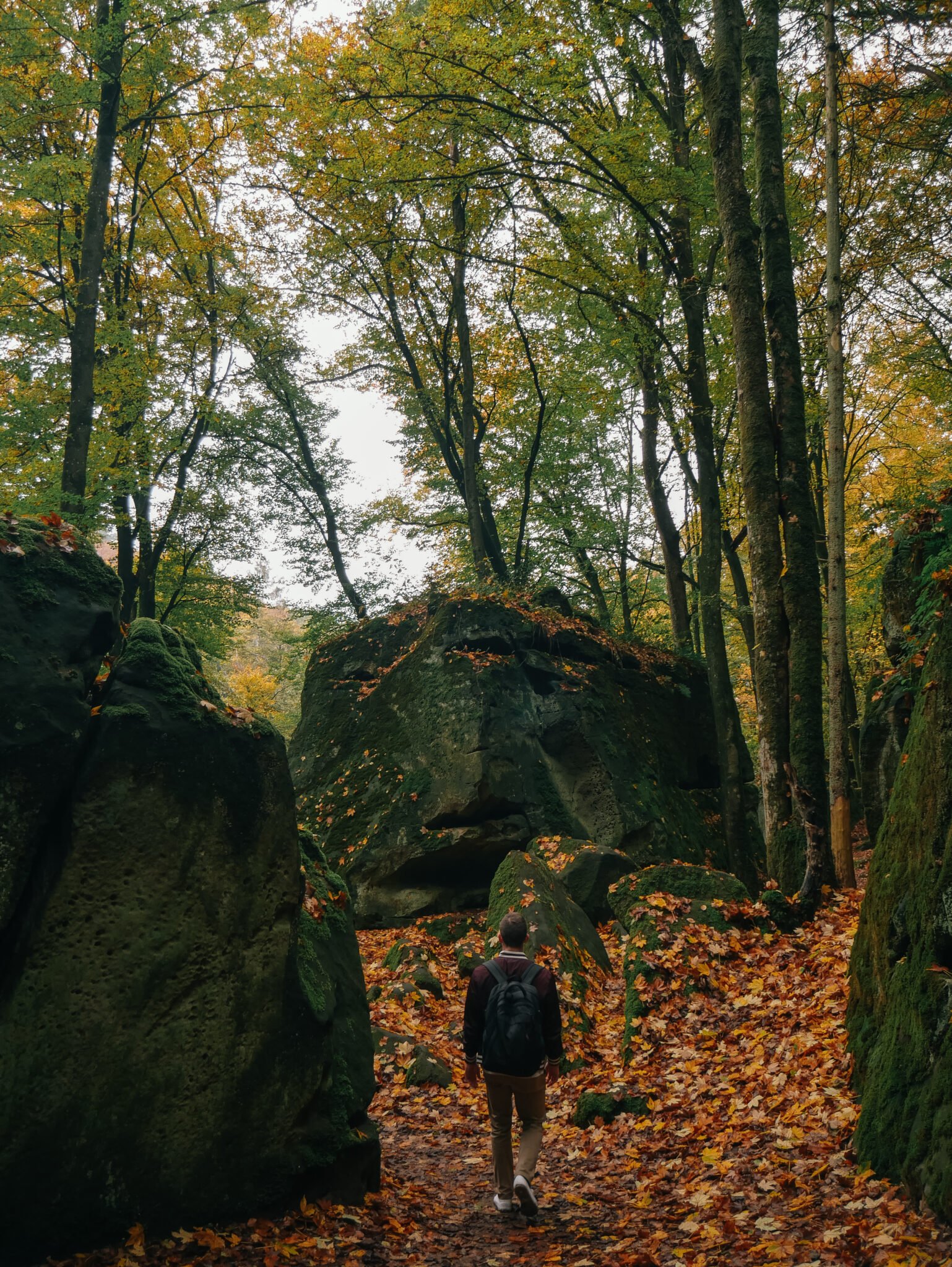 The Mullerthal Trail: Hiking Between Berdorf & Echternach - Compasses ...