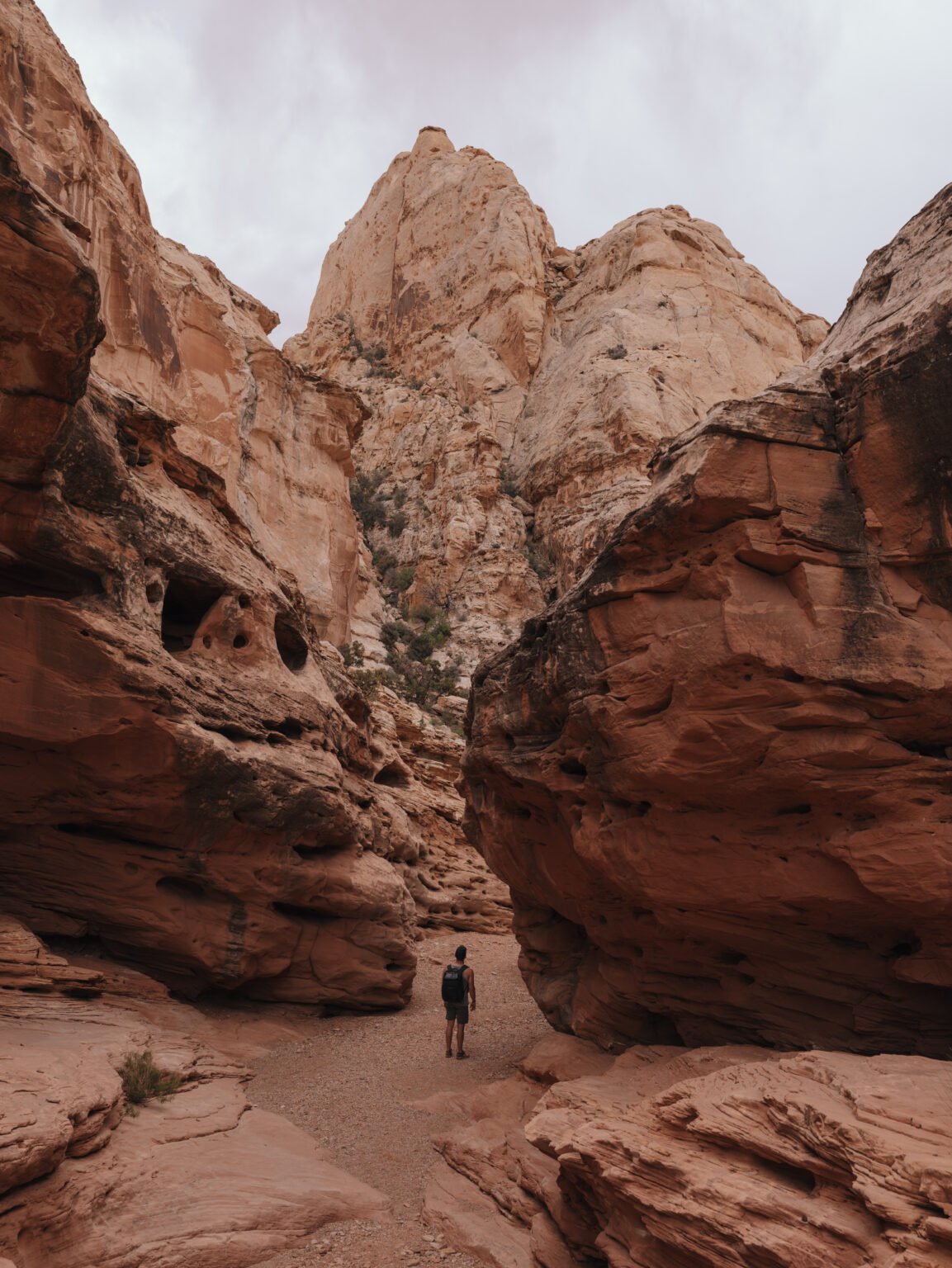 Hiking the Little Wild Horse Canyon and Bell Canyon Loop - Utah ...