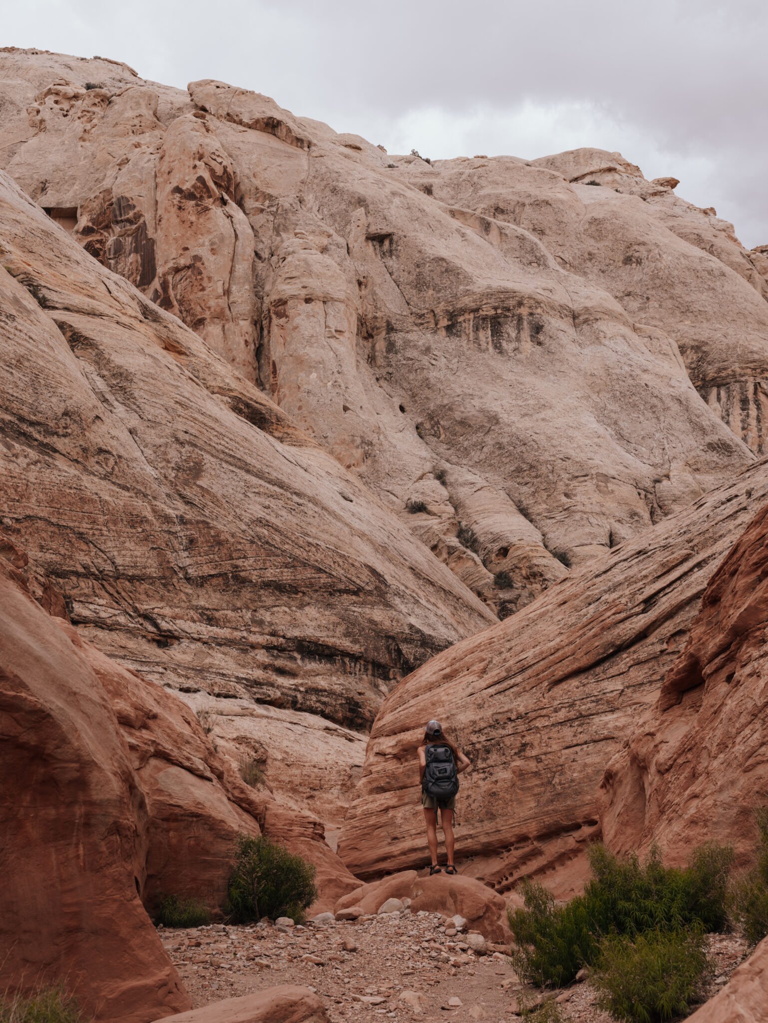 Hiking the Little Wild Horse Canyon and Bell Canyon Loop - Utah ...