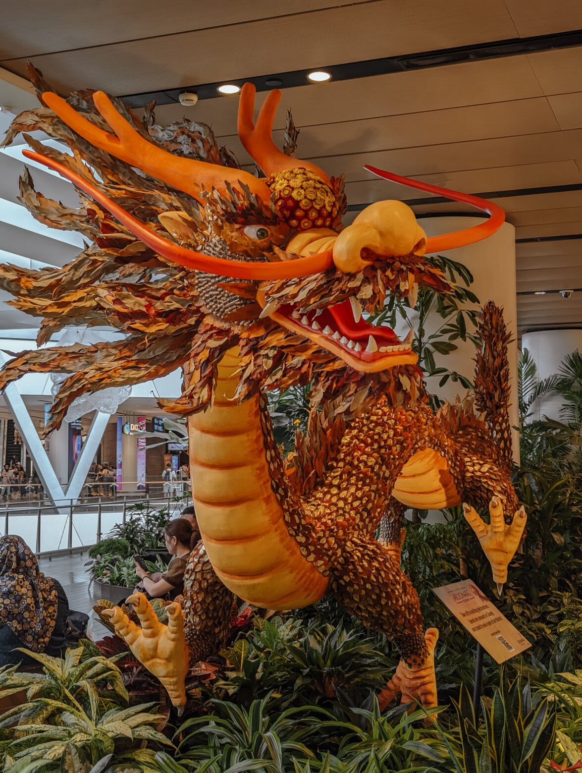 Singapore's Changi Airport - Not Your Average Airport! - Compasses & Quests