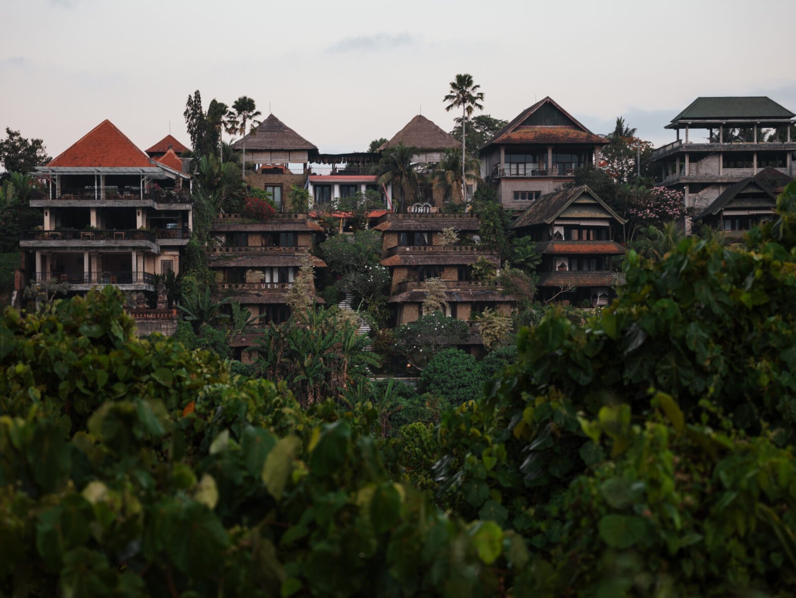 Sunrise on the Campuhan Ridge Walk - Ubud, Bali - Compasses & Quests