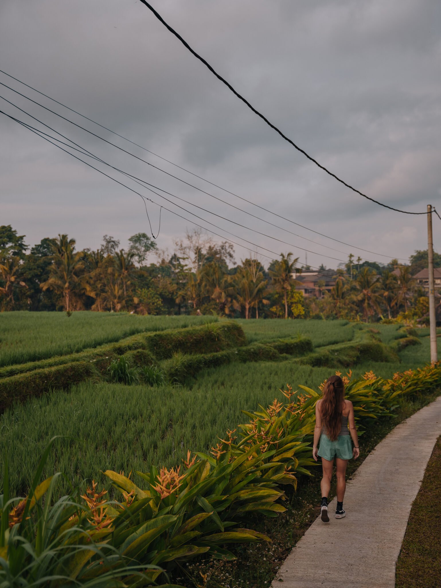 Sunrise on the Campuhan Ridge Walk - Ubud, Bali - Compasses & Quests