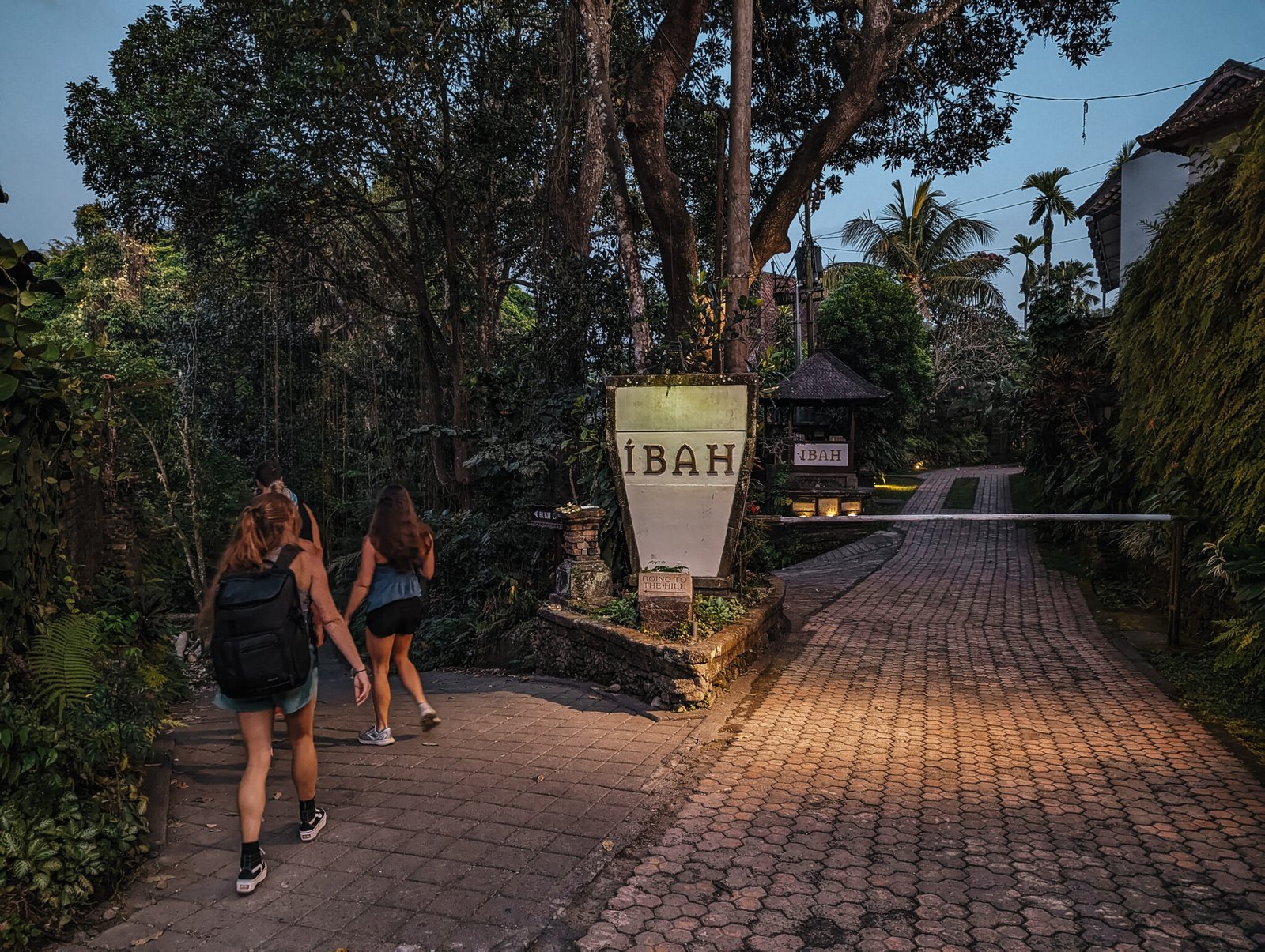 Sunrise on the Campuhan Ridge Walk - Ubud, Bali - Compasses & Quests