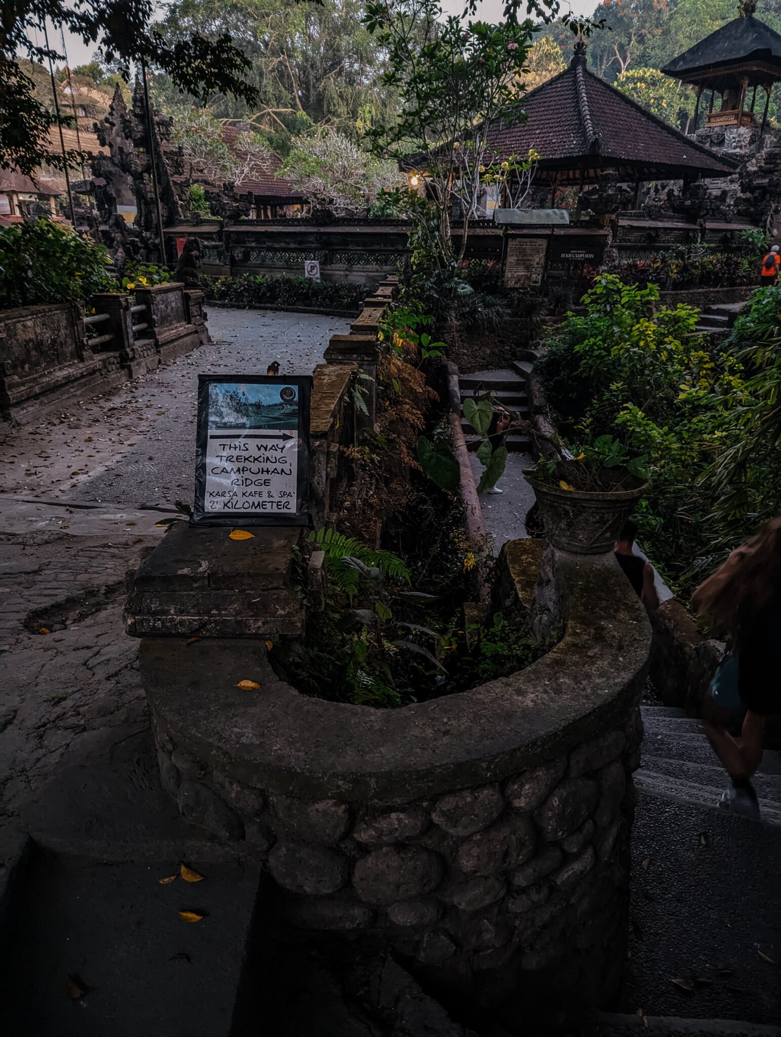 Sunrise on the Campuhan Ridge Walk - Ubud, Bali - Compasses & Quests